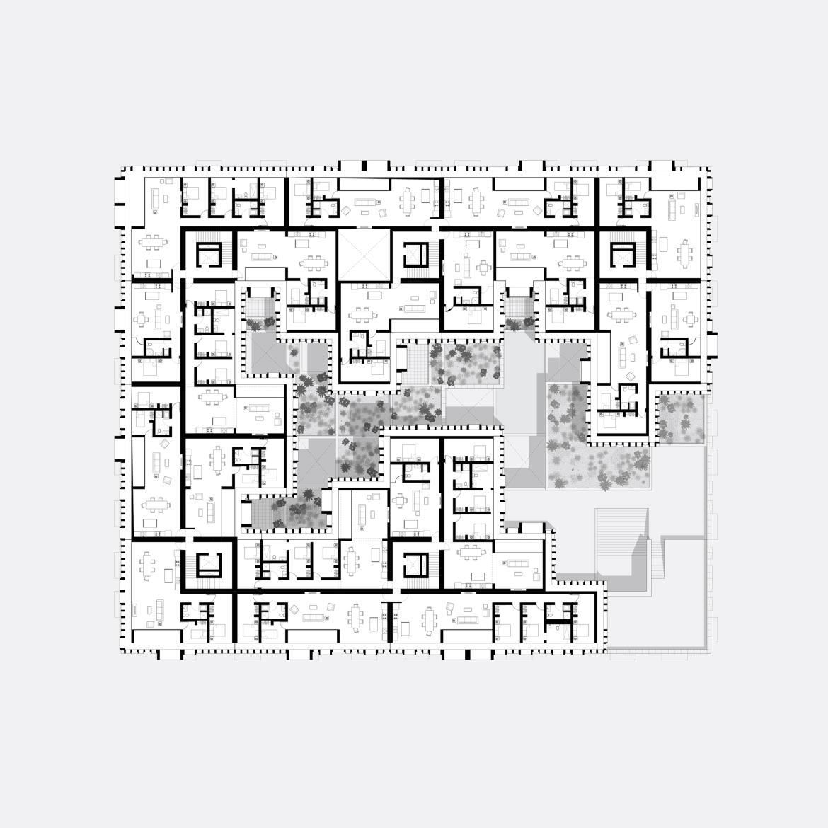 Architectural Problems Architecture Rice University