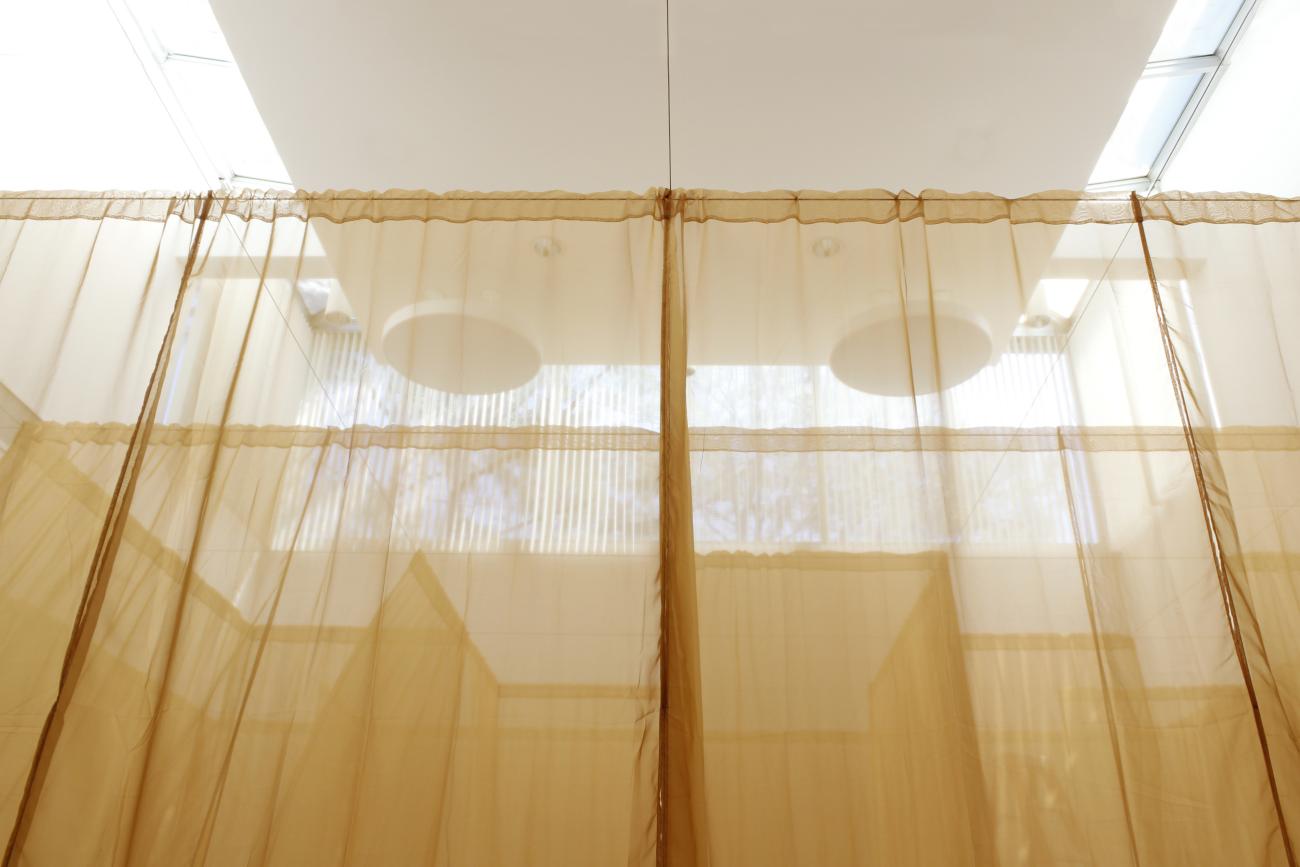 Rice Architecture Society hosts Monarchi mini-charrette | Rice School ...